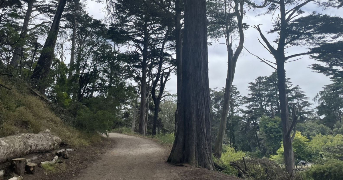 The Stow Lake Loop Is One Of The Creepiest Hikes In NorCal