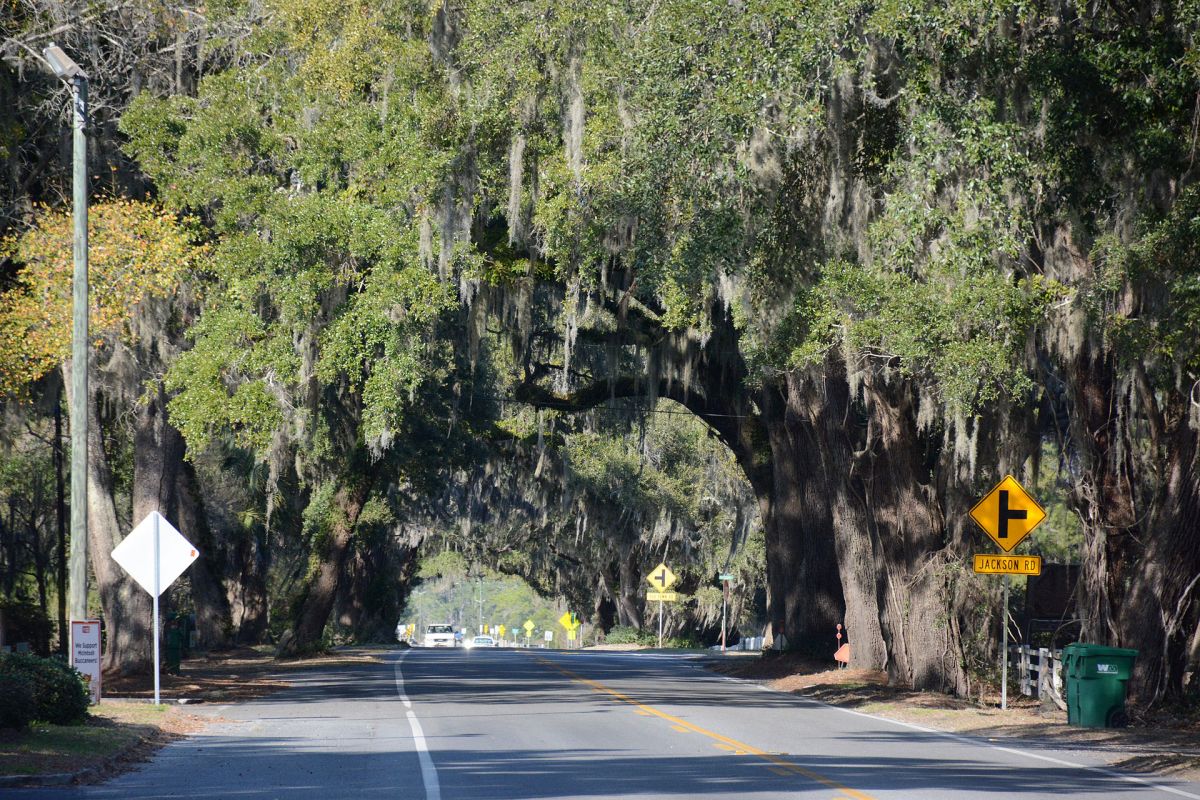 Enjoy A Scenic Drive Along Georgia's 6 Most Beautiful Roads