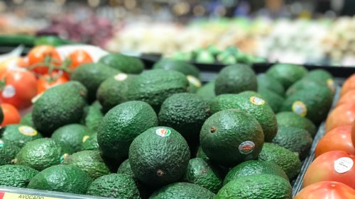 Attend The National Avocado Launching Championship In Nebraska