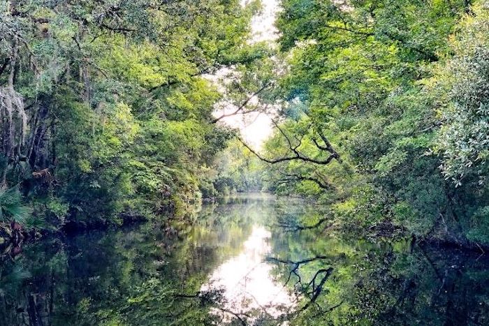 Spend A Florida Day Exploring Homosassa Springs Wildlife State Park