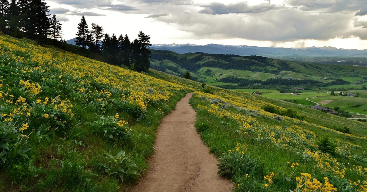 Springtime Adventures: The 9 Best Hikes In Montana