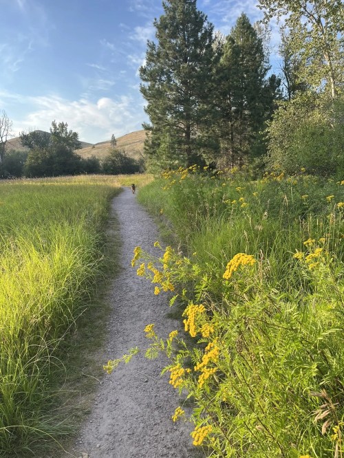 Springtime Adventures: The 9 Best Hikes In Montana