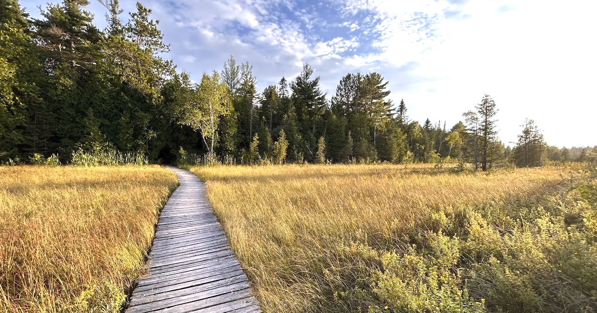 Spring Adventures: 13 of the Best Hikes in Wisconsin