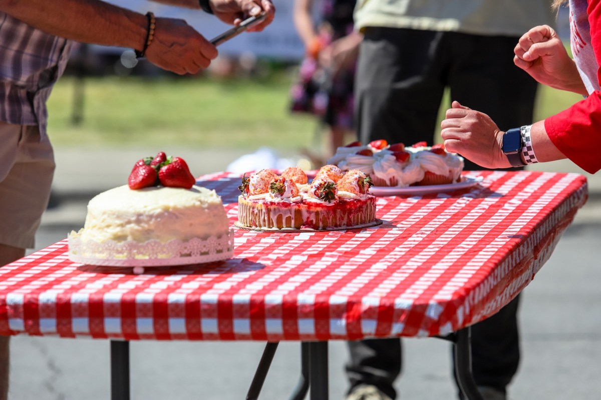 Cullman Strawberry Festival: Best Food Festival In Alabama