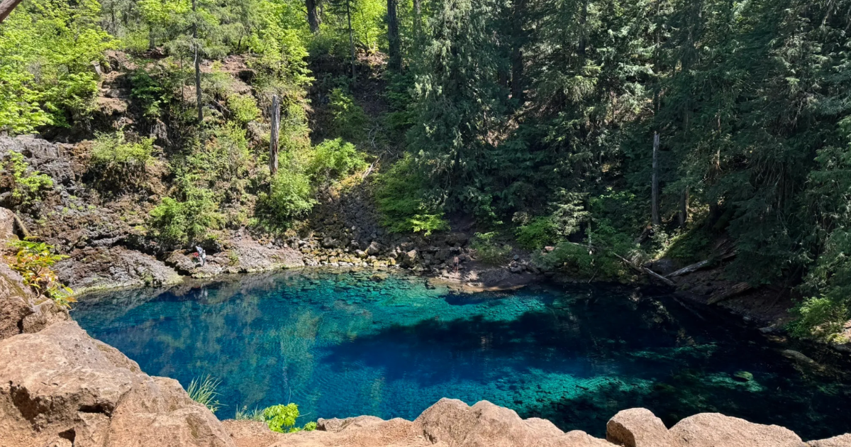 9 Easy Spring Hikes in Oregon With Beautiful Views
