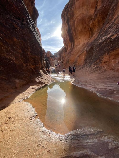 This Easy and Scenic Waterfall Hike In Utah Will Impress You