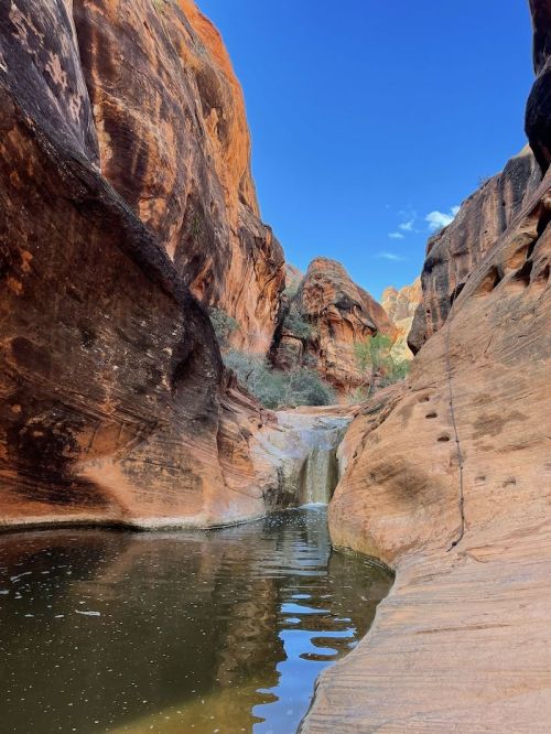 This Easy and Scenic Waterfall Hike In Utah Will Impress You