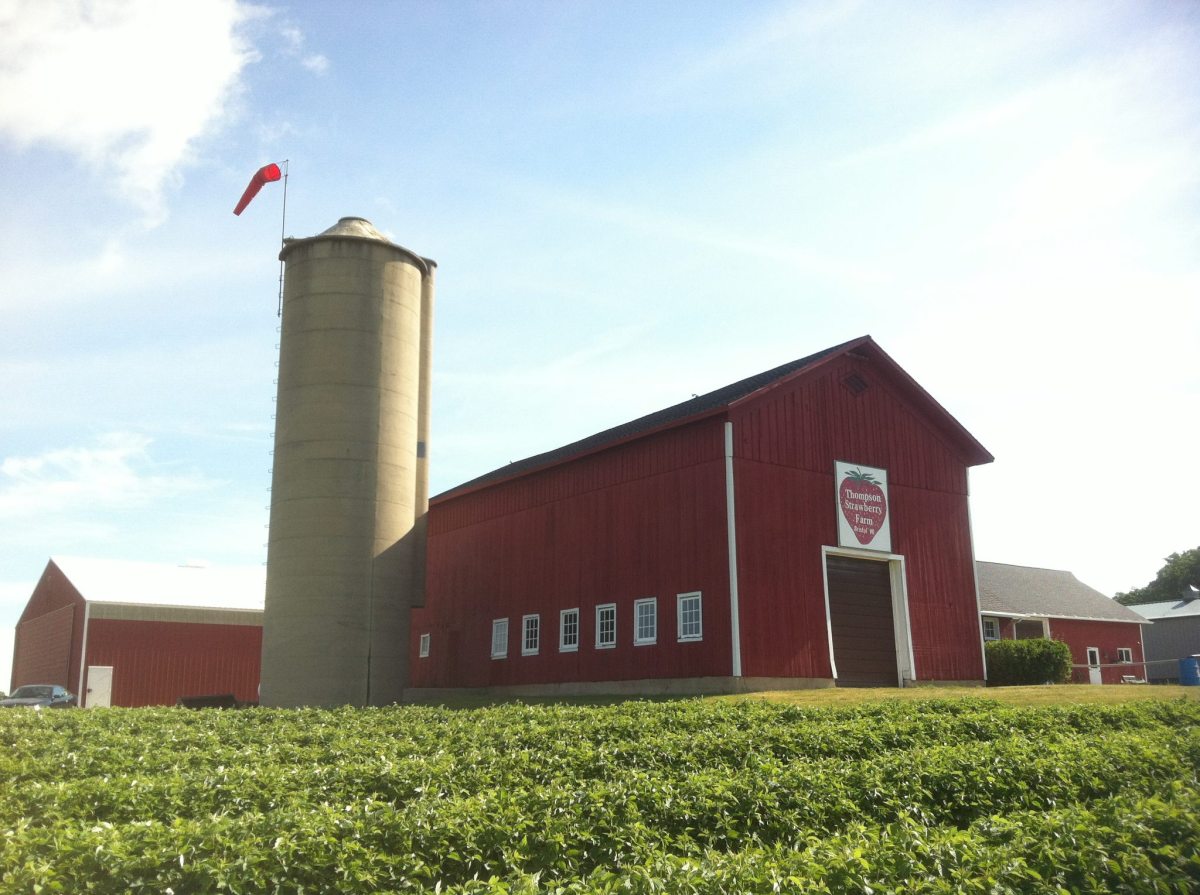 Take The Whole Family To Thompson Strawberry Farm In Wisconsin