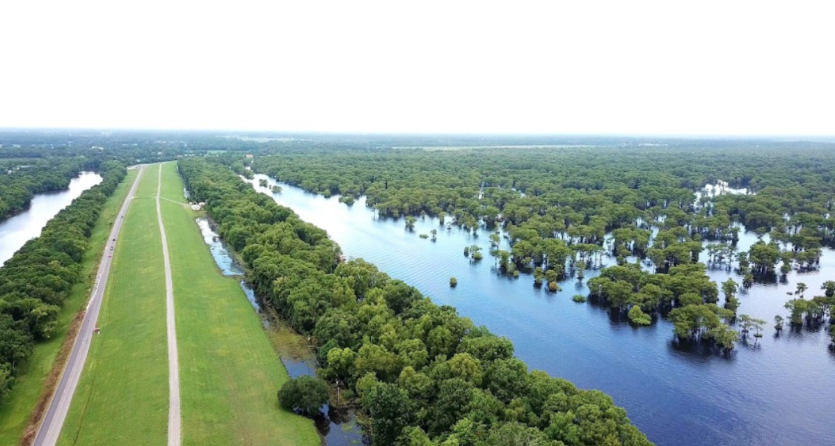 7 Natural Wonders That Should Be On Everyone's Louisiana Bucket List