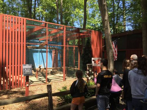 The Raptor Trust In New Jersey Is An Underrated Wild Bird Center