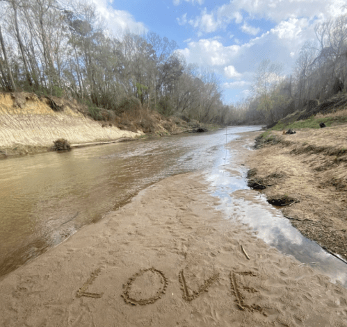 Magical Hiking Trail In Baton Rouge Louisiana: Comite River Park