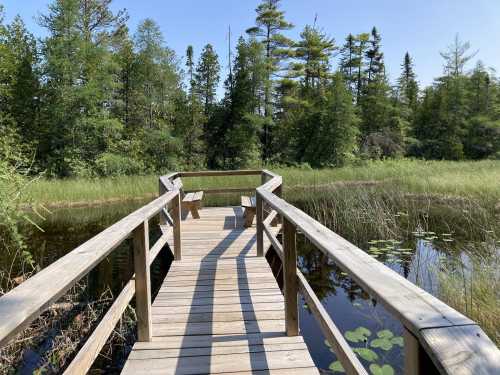 Scenic Hiking Trail In Wisconsin: Ridges Loop In Baileys Harbor