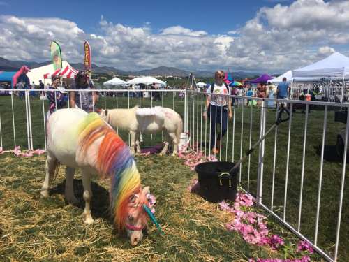 Unique Festivals In Colorado: Unicorn Festival