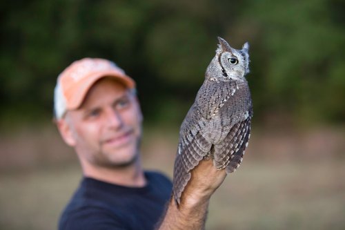 The Raptor Trust In New Jersey Is An Underrated Wild Bird Center