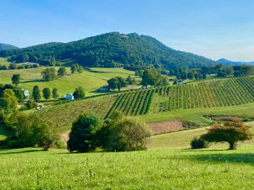 There's Nothing Better Than Villa Nove Vineyards In Tennessee