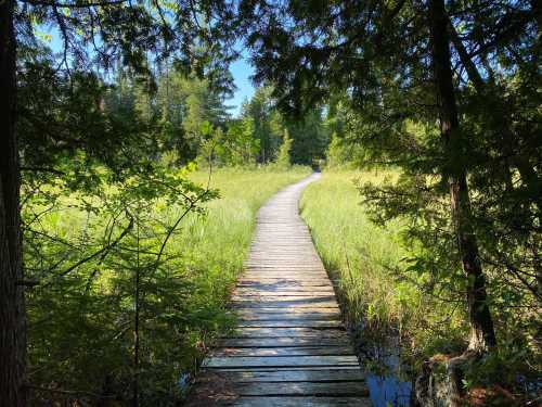 With Boardwalks And A Lighthouse, The Little-Known Ridges Trail In ...