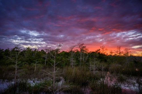 Visit These 7 Natural Attractions In Florida Unique To The State