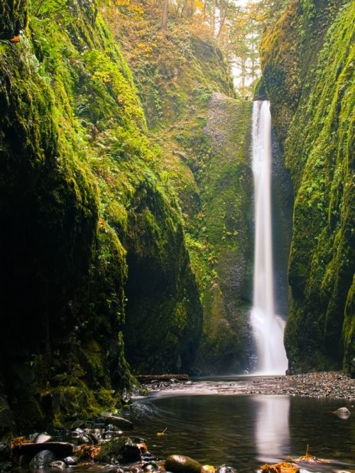 The Oneonta Gorge Trail In Oregon Is Unexpectedly Magical
