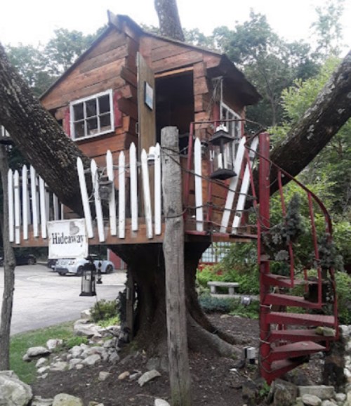 The Tree House Tavern In Rhode Island That’s Straight Out Of A Fairytale