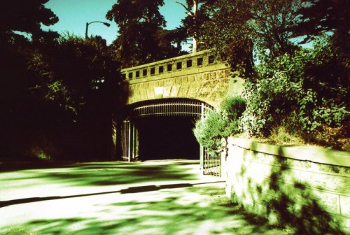 Walk Under The Historic Alvord Lake Bridge At Golden Gate Park