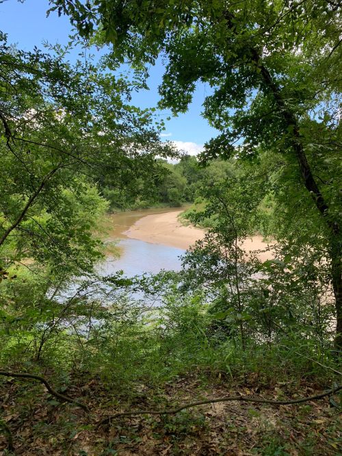 Magical Hiking Trail In Baton Rouge Louisiana: Comite River Park