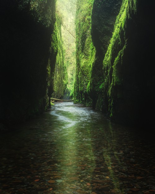 The Oneonta Gorge Trail In Oregon Is Unexpectedly Magical