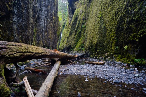 The Oneonta Gorge Trail In Oregon Is Unexpectedly Magical