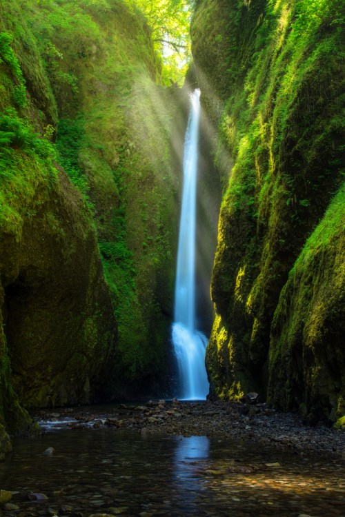 The Oneonta Gorge Trail In Oregon Is Unexpectedly Magical