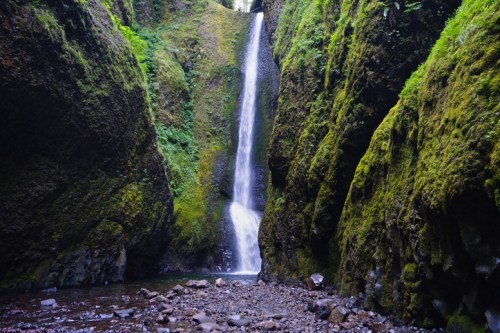 The Oneonta Gorge Trail In Oregon Is Unexpectedly Magical