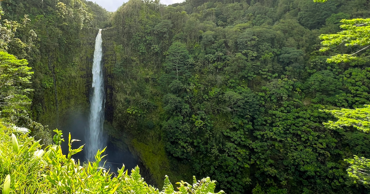 9 Easy And Beautiful Waterfall Hikes In Hawaii