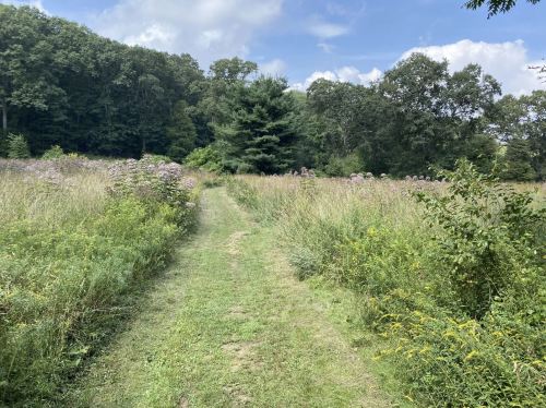 Mamacoke Conservation Area In CT Has Some Magical Sights