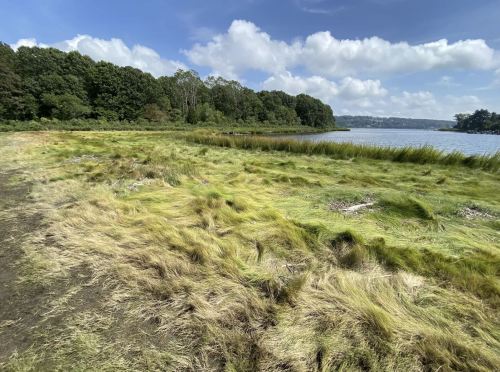 Mamacoke Conservation Area In CT Has Some Magical Sights