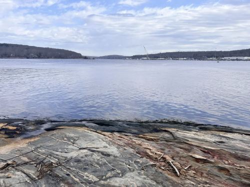 Mamacoke Conservation Area In CT Has Some Magical Sights