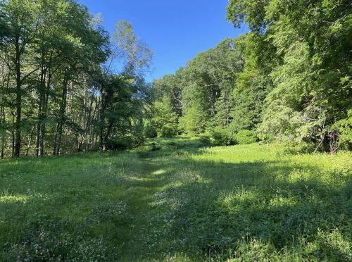 Mamacoke Conservation Area In CT Has Some Magical Sights