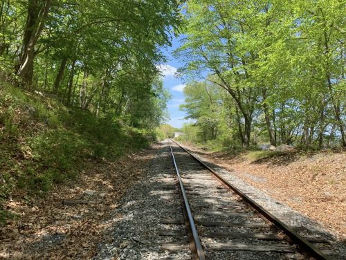 Mamacoke Conservation Area In CT Has Some Magical Sights