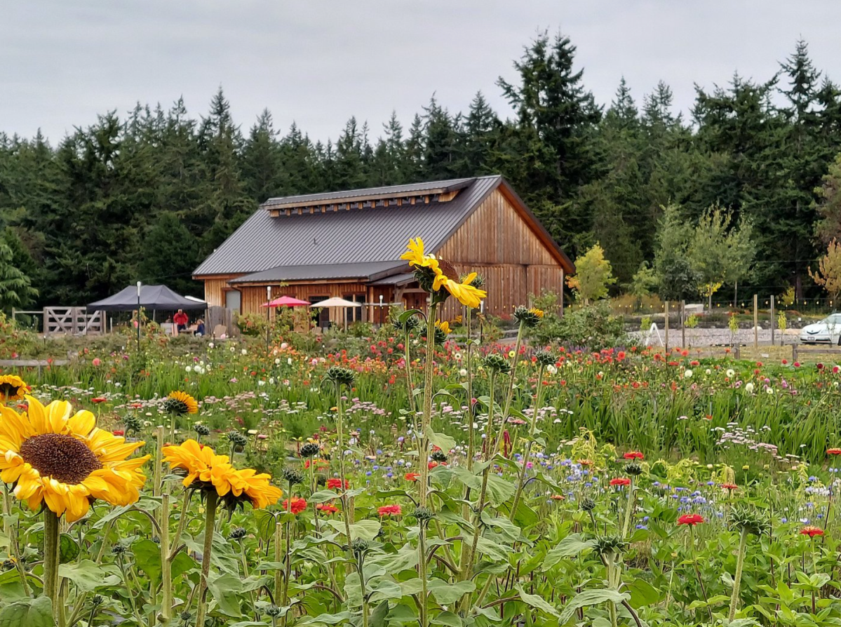 Wilderbee Farm In Washington Is Like Something From A Dream