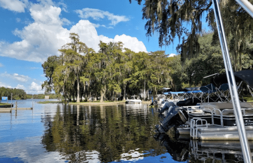 Dine On The Water At The Swamp House Riverfront Grill In Florida