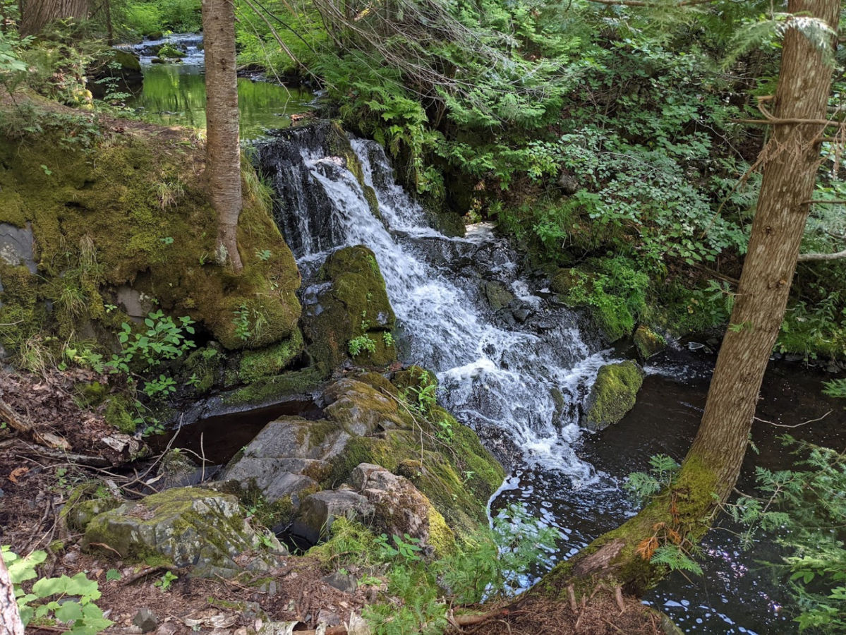 Ogemaw Falls Trail Leads To Little-Known Waterfall In Michigan