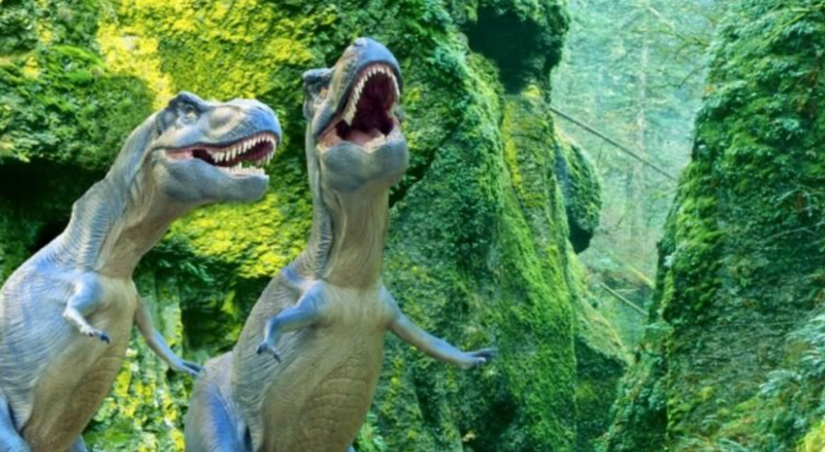 Sweet Valley Is An Awesome Ranch In North Carolina