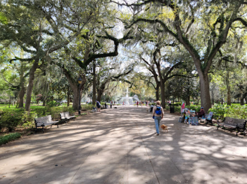Top 7 Spring Destinations in Georgia