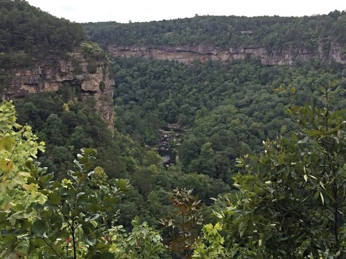 Explore Alabama's Scenic Backroads: 7 Must-See Routes