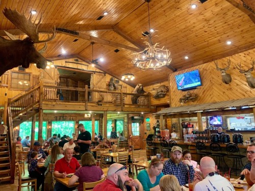 Bama Bucks: A Unique Alabama Restaurant With Wildlife