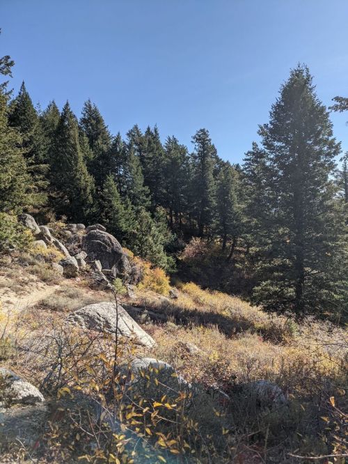 Scenic Hike In Idaho: Mores Mountain Loop Trail Near Boise