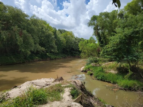 Magical Hiking Trail In Baton Rouge Louisiana: Comite River Park
