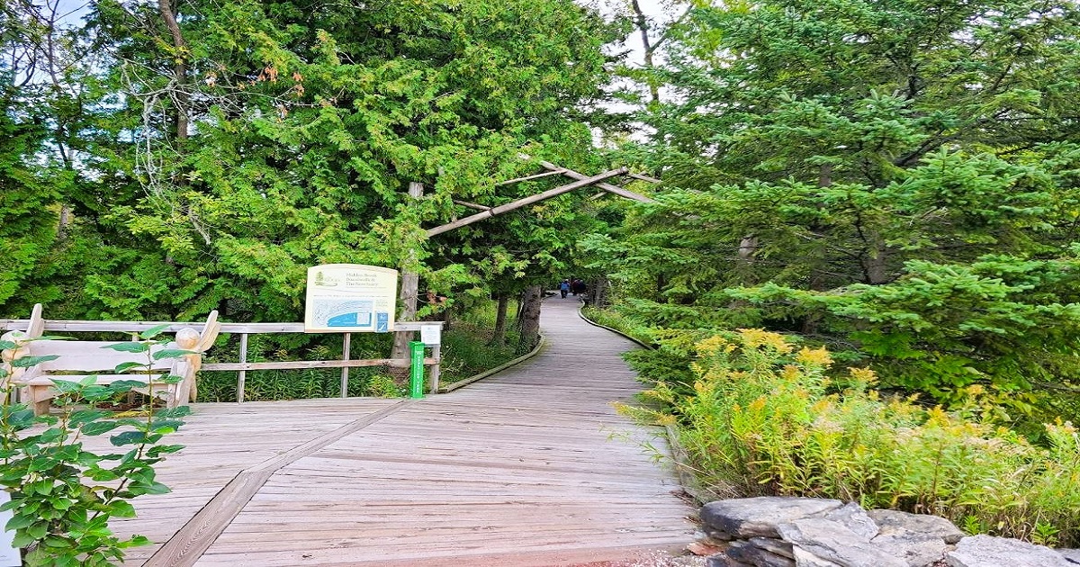 With Boardwalks And A Lighthouse, The Little-Known Ridges Trail In ...