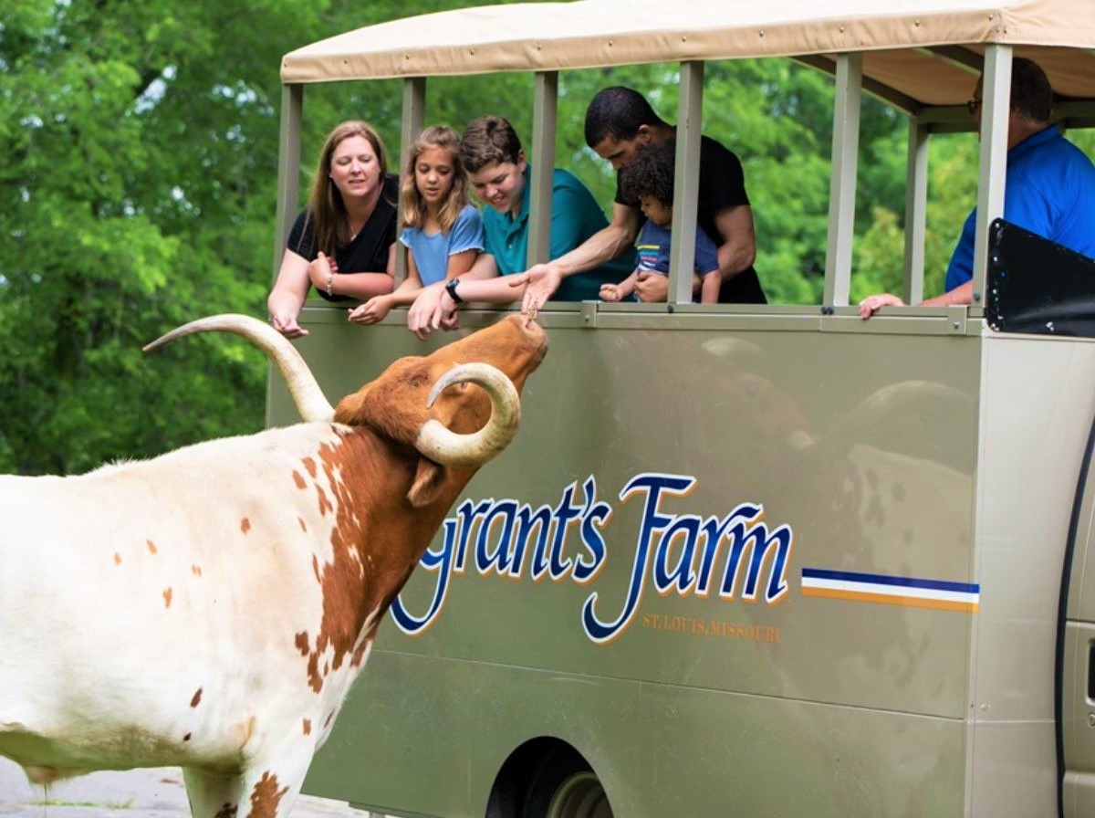 Grant's Farm In St. Louis: Best Family-Friendly Farm In Missouri