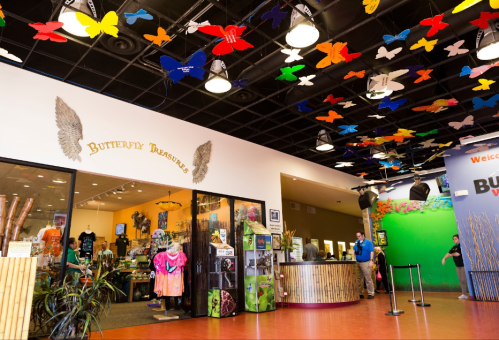 Butterfly Wonderland Is The Largest Butterfly House In Arizona
