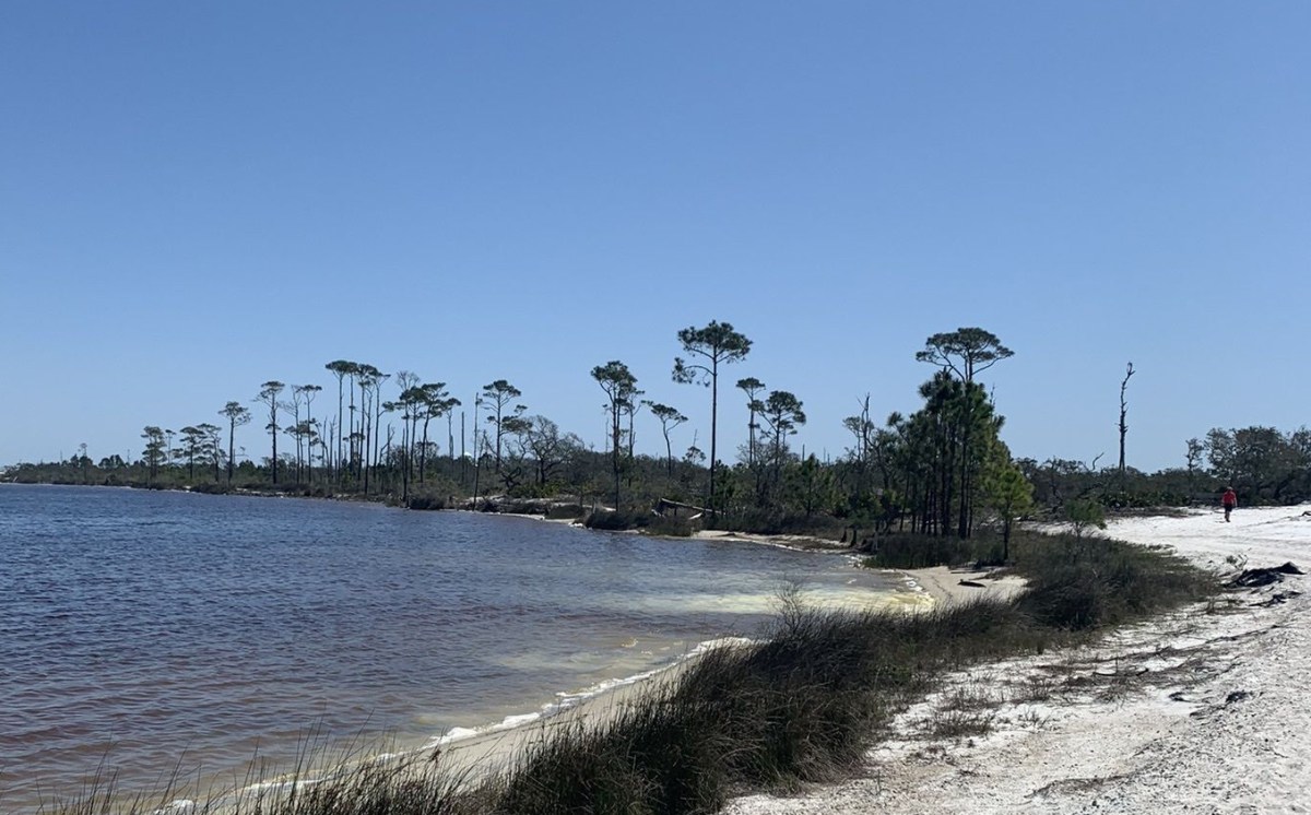 Gator Lake Trail Is One Of Alabama's Best Beach Trails