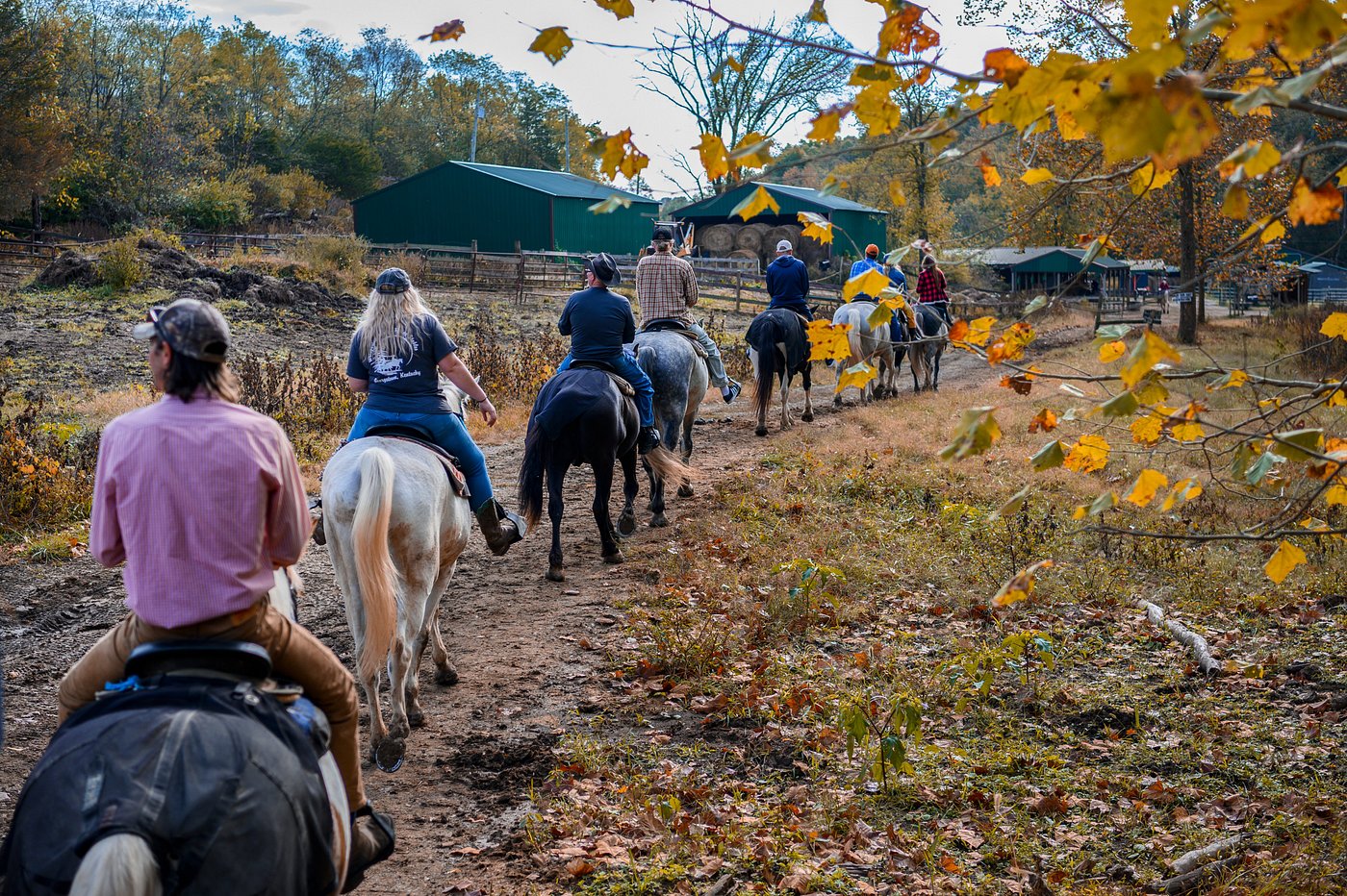 Explore The Bluegrass Backcountry On Horseback With Whispering Woods ...