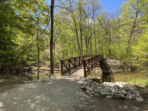 Aman Park Loop Is Beautiful Wildflower Trail In Michigan